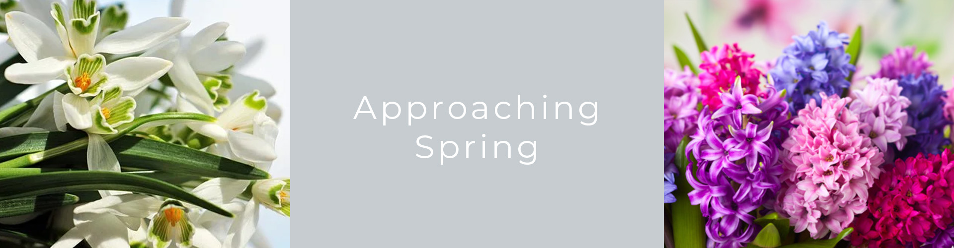 By Arrangement Florist, your florist in Throop. Same day flower Same ...